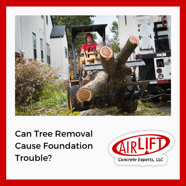 Can Tree Removal Cause Foundation Trouble? - Airlift Concrete Experts, LLC